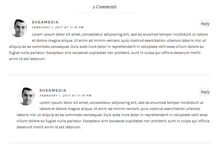 Comments with CSS #1 - WordPress Snippet Generator Tool Comments with CSS #1 - WordPress Snippet Generator Tool
