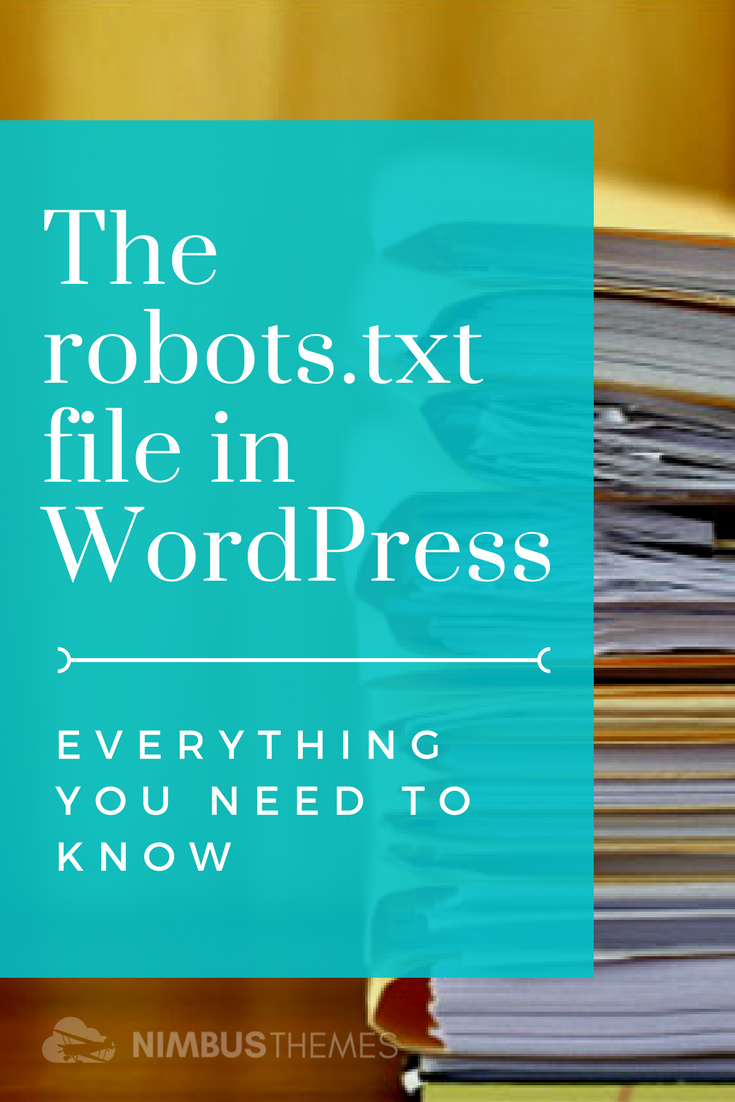 A Beginner's Guide to the WordPress robots.txt File A Beginner's Guide to the WordPress robots.txt File