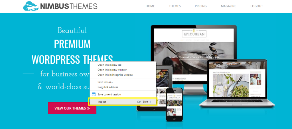 How To Customize Your Wordpress Website With Css The Right Way Nimbus Themes 0130